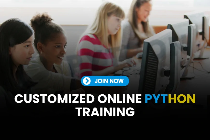 Customized Online Python Training Options Pune Online Python Courses