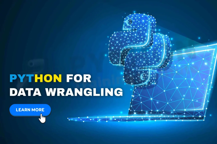 Learn Data Wrangling with Python in Pune | Beginner to Advanced Data Wrangling in Python – Pune ...